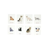 Cats & Kittens : A Memory Game (Game) - Walmart.com