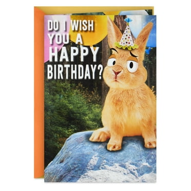 Hallmark Shoebox Funny Birthday Greeting Card (Judgmental Cat in Party ...