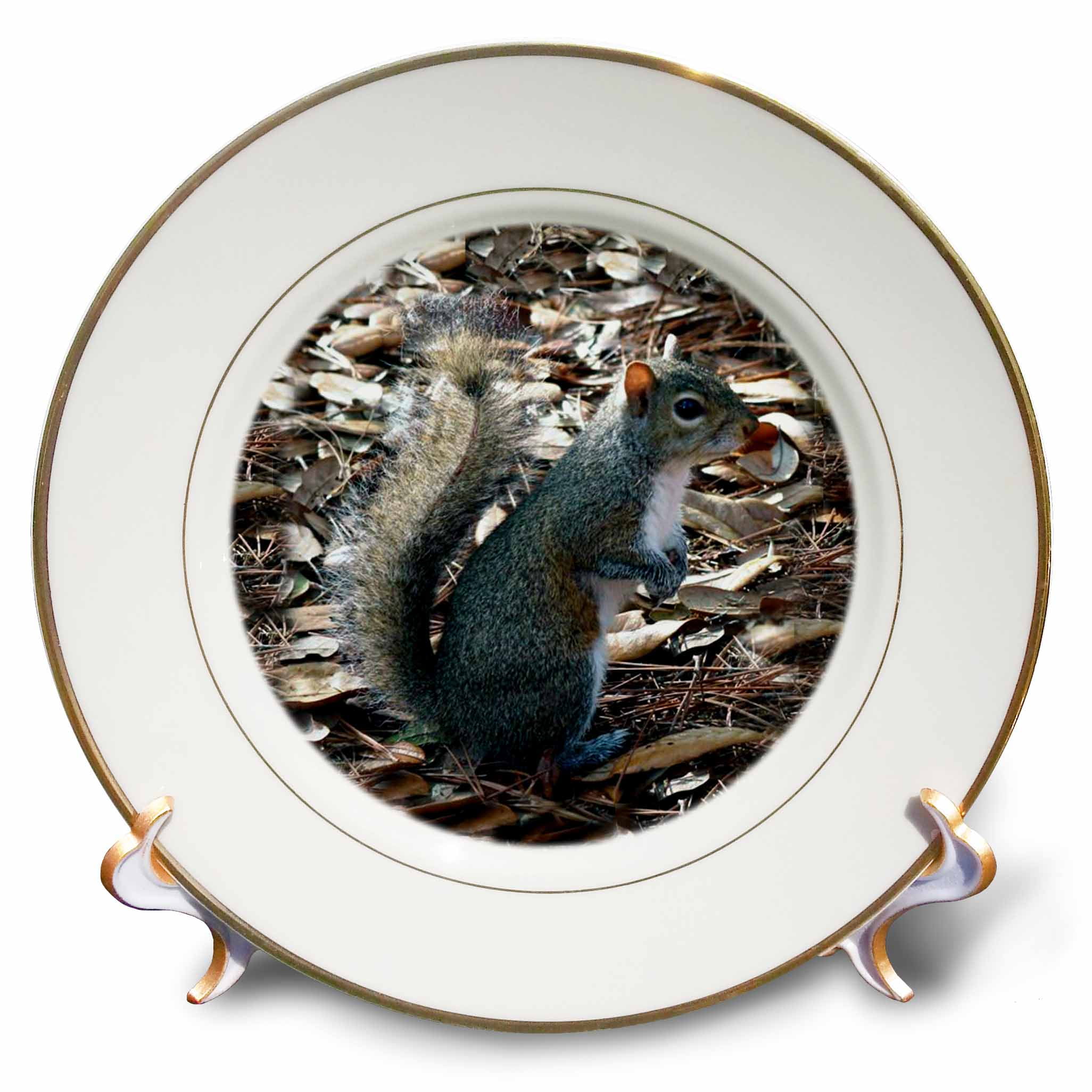 Squirrel Plate