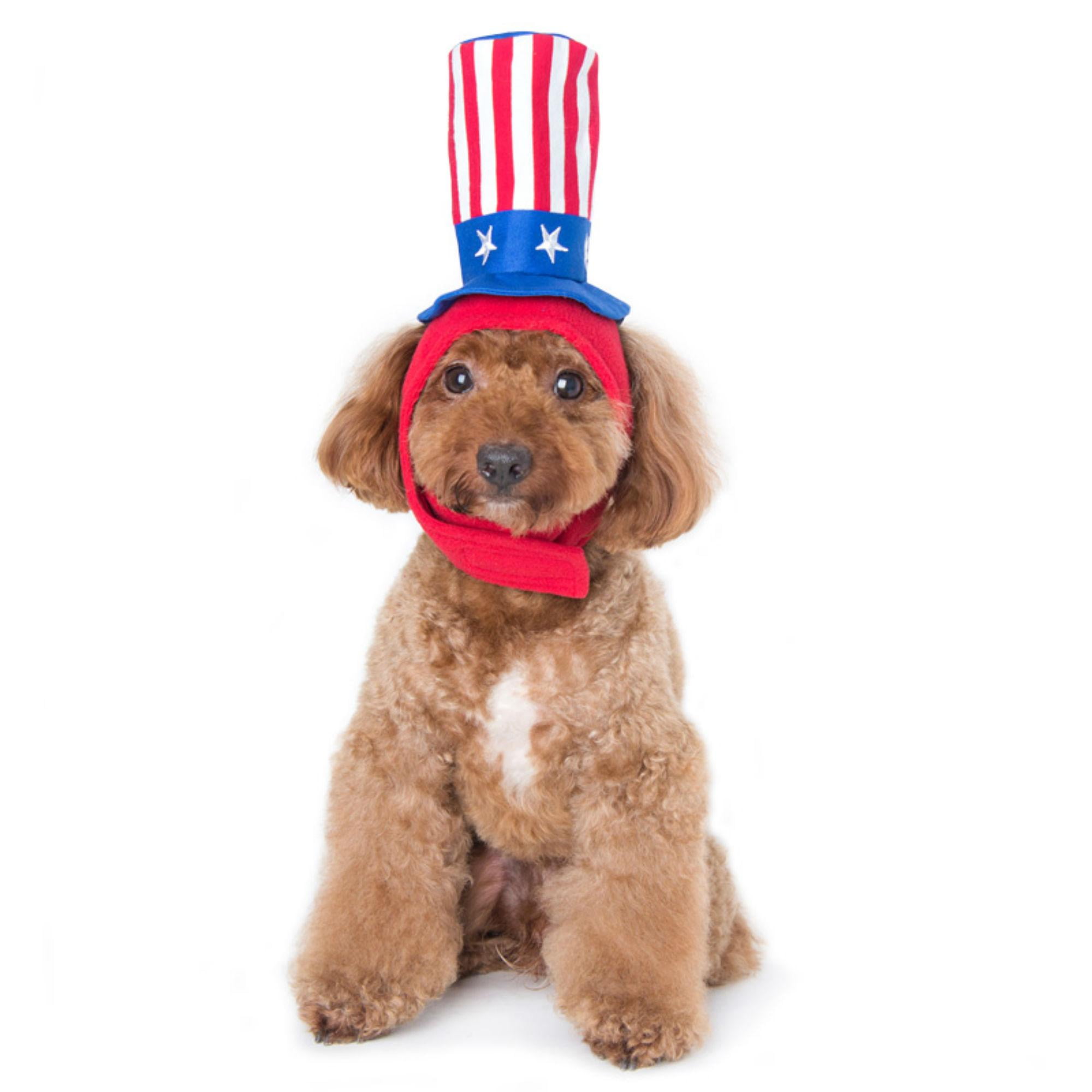 Uncle Sam Dog Hat by Dogo - X-Large - Walmart.com