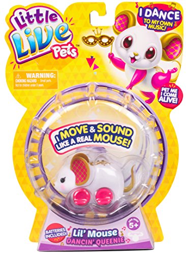 Little Live Pets Lil' Mouse - Dancing Queenie | Walmart Canada