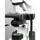 AmScope 1500X Professional Binocular Compound Microscope w Kohler Illumination New - Walmart.com
