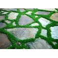 Dichondra Repens Ground Cover Seeds (100 Count) - Exotic Carpet Plant ...