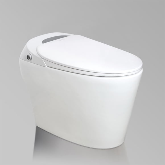 19 Inch High Toilets