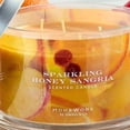 HomeWorx by Slatkin & Co. Sparkling Honey Sangria 18oz Candle - Walmart.com