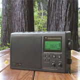 C. Crane Company AM/FM Portable Radios with Weather Reception, Black ...