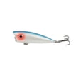 2 Pcs Bass Fishing Lure for Freshwater and Saltwater Lifelike Fishing ...