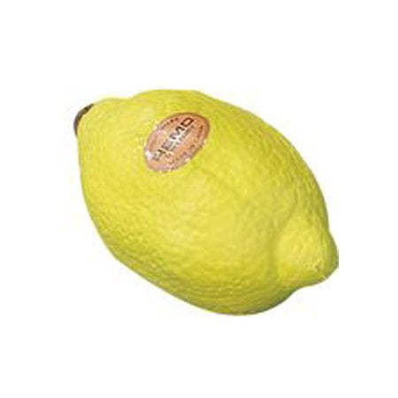Remo Lemon-shaped Fruit Shaker | Walmart Canada