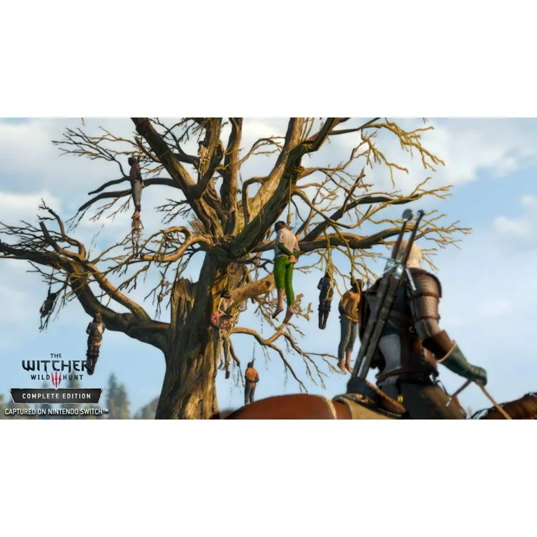 The witcher 3 switch walmart store