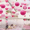 18pcs Pink Paper Lanterns and Flower Balls Set for Weddings, Birthdays ...
