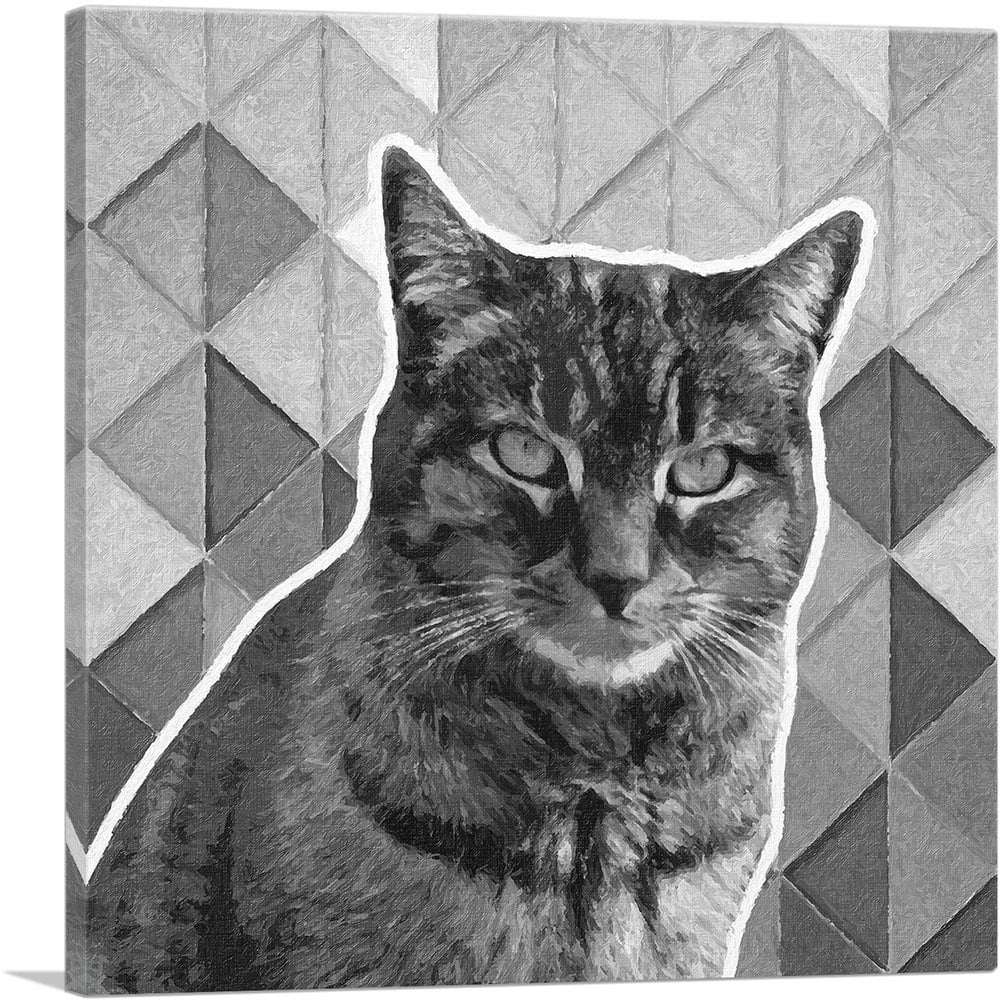 ARTCANVAS Dragon Li Cat Breed Gray Canvas Art Print - Size: 26" x 26 ...