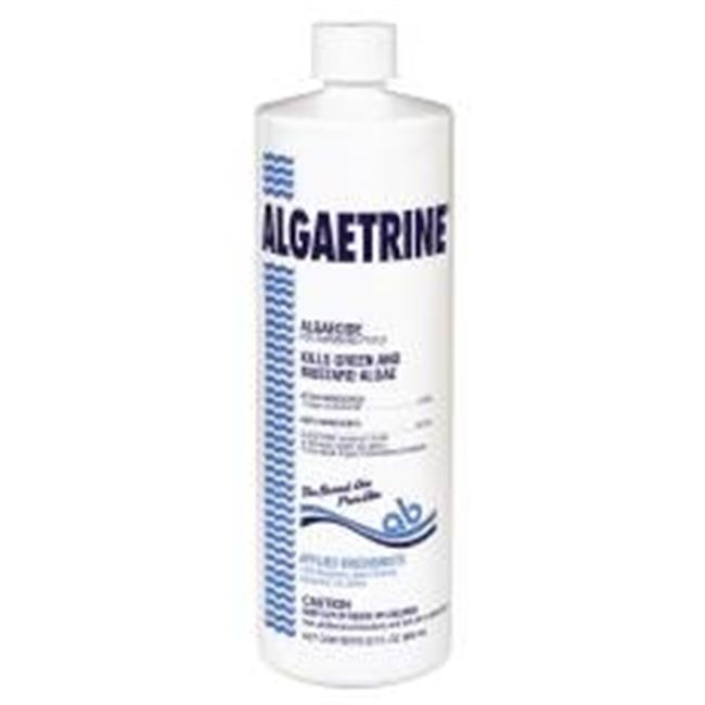 Advantis Technologies 536113 Algaetrine Algaecide&amp;#44; Quart ...