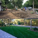 Barenbrug Turf Saver RTF Grass Seed with Yellow Jacket Coating - Self ...