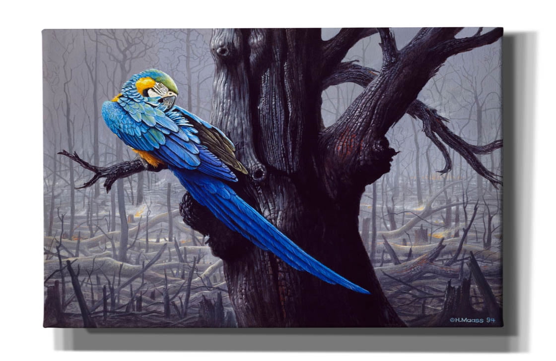 Epic Graffiti 'Blue And Yellow Macaw In Burned Forest' by Harro Maass ...
