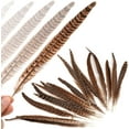 VETPW Natural Pheasant Tail Feathers 10-12 inch Pack for DIY Crafts ...