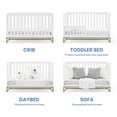 Delta Children Jade 4-in-1 Convertible Crib, Bianca White/Bronze ...