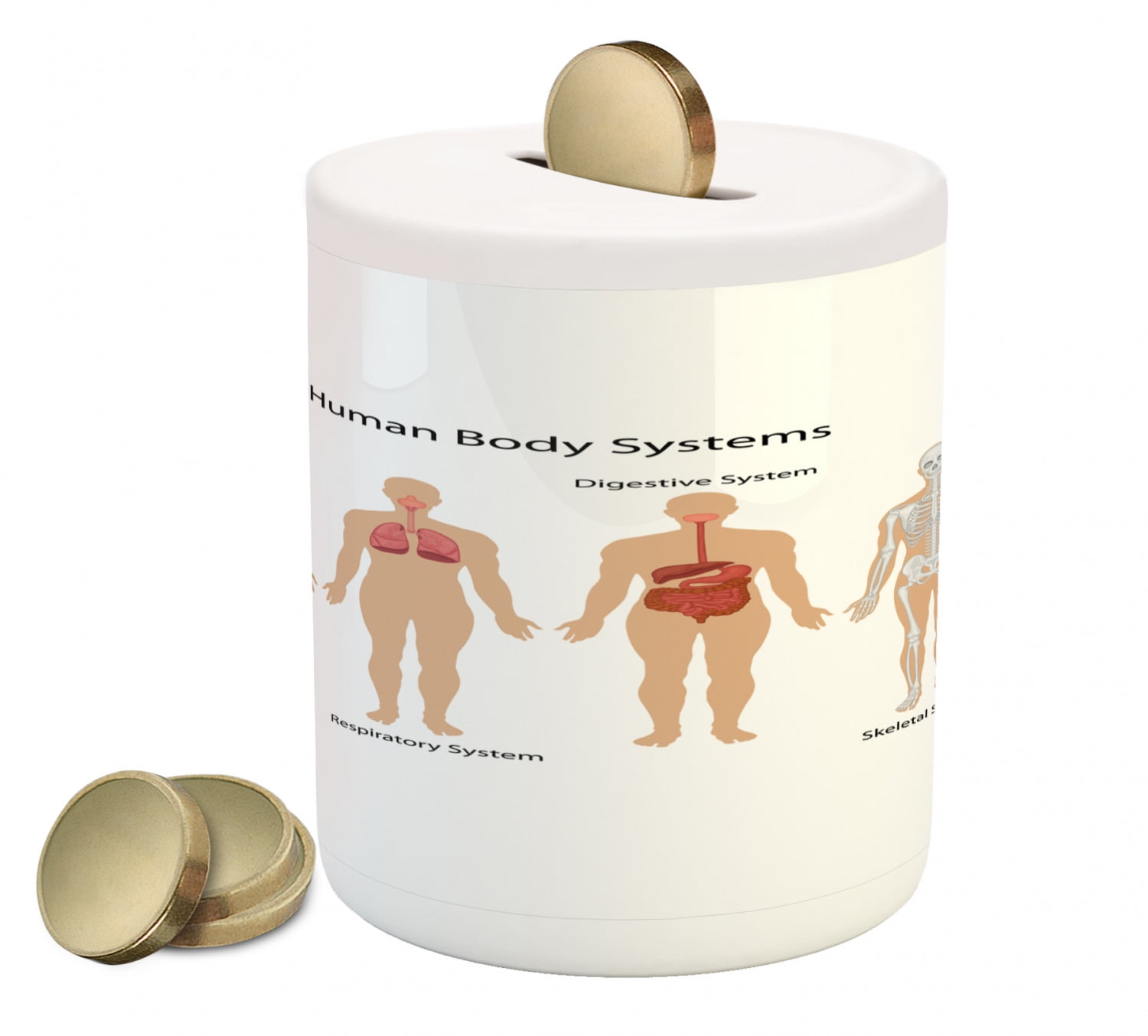 Human Anatomy Piggy Bank, Body Central Nervous Network Skeleton Neurons ...