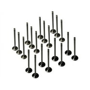 Empi Fan Shroud Air Intake Screen for VW Type 1 - 0091950 - Walmart.com