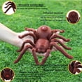 Realistic Remote Control Spider Prank Toy, Wireless RC Tarantula for ...