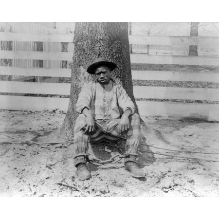 Georgia: Chain Gang./Nafrican American Man Sitting Against A Tree With ...
