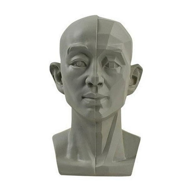 PFDDRW Head Model for Artists Model for Artists Learn Planes of Face ...