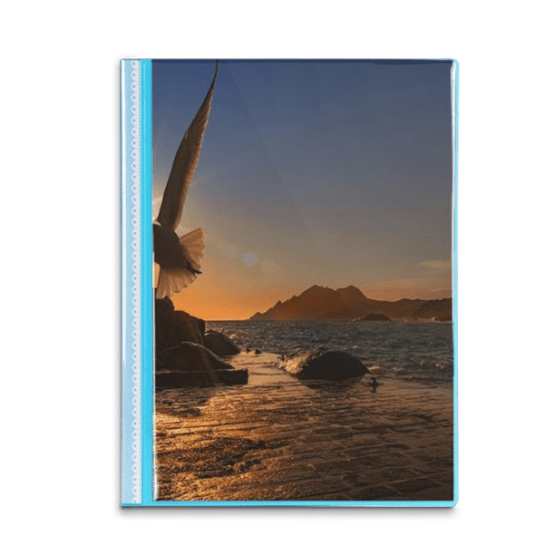 Ocean Eagle Science Nature Picture Book Sheet Protectors Portfolio ...