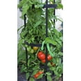 Luster Leaf 7.5' Obelisk - Walmart.com