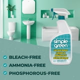 Simple Green 32 oz. Lime Scale Remover - Walmart.com