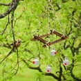 Tergayee Bird Feeder Hummingbird Feeders 2024 Hummingbird Feeders For Outdoors Hanging Ant And