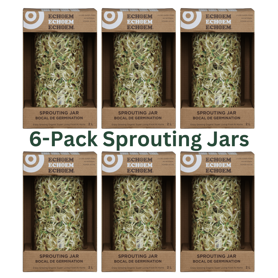 Click here for Echoem 6-Pack Sprouting Jars prices