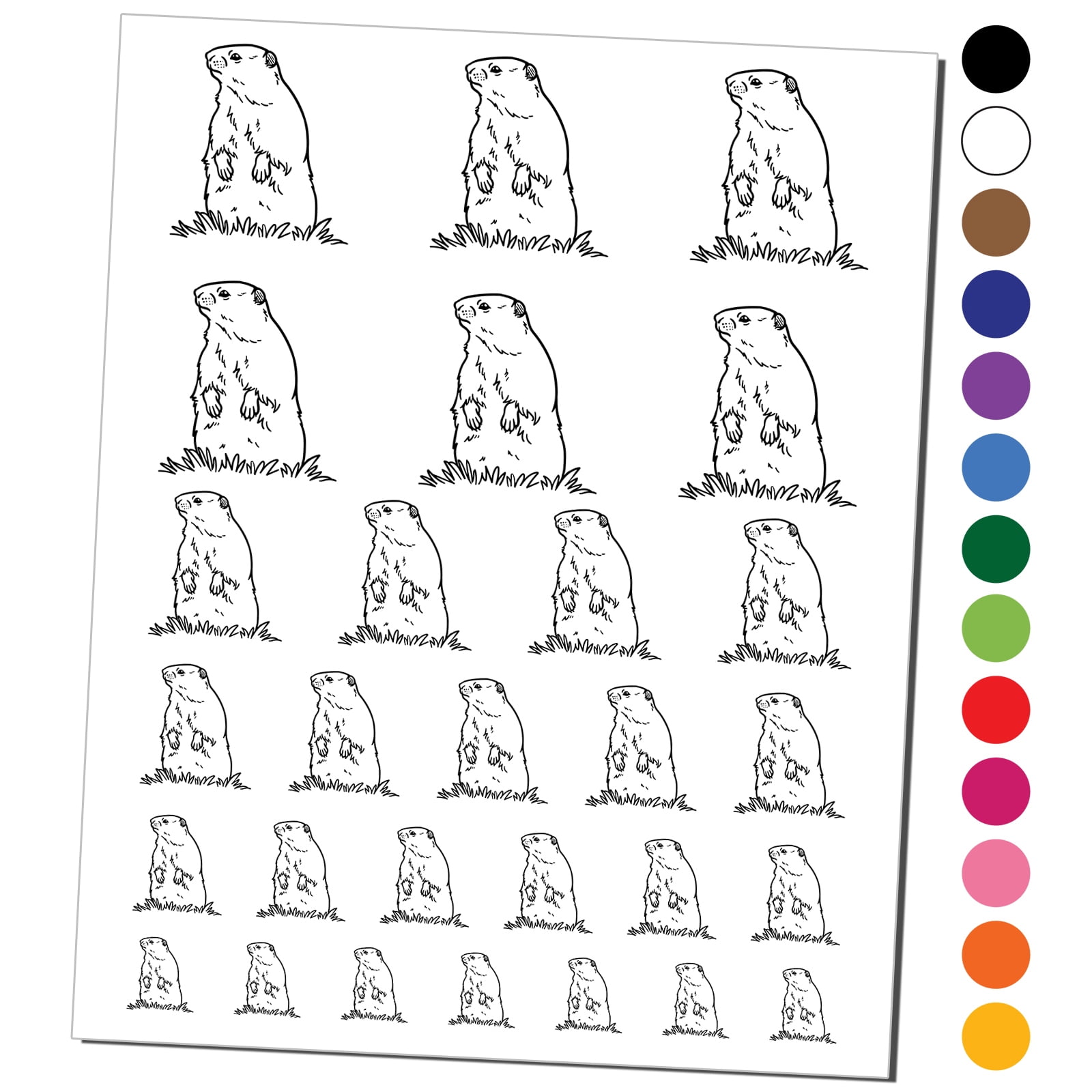 Groundhog Woodchuck Standing Up Water Resistant Temporary Tattoo Set ...