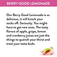Honest Organic Berry Good Lemonade Juice Boxes 6 fl oz 8 Pack Gluten ...