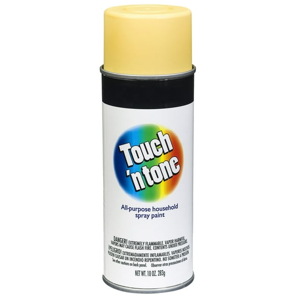 Touch N Tone Spray Paint