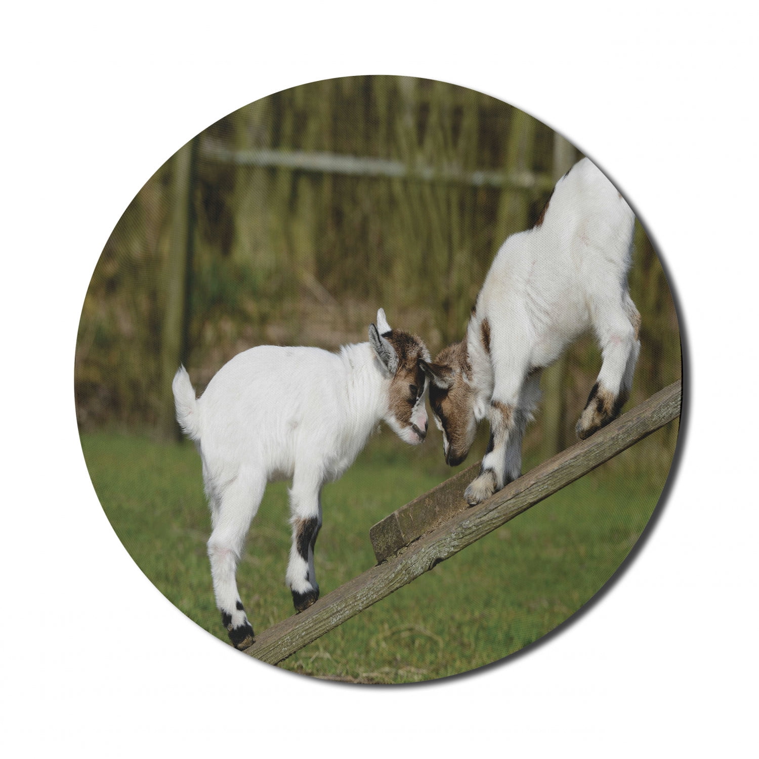 Animal Mouse Pad for Computers, Little Baby Goats on a Bench Their ...