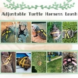 Adjustable Turtle Leash, Small Pets Leash and Harness, Pet Tortoise ...