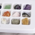 LeeQinersw 12pcs/set Rock and Mineral Educational Geology Science ...
