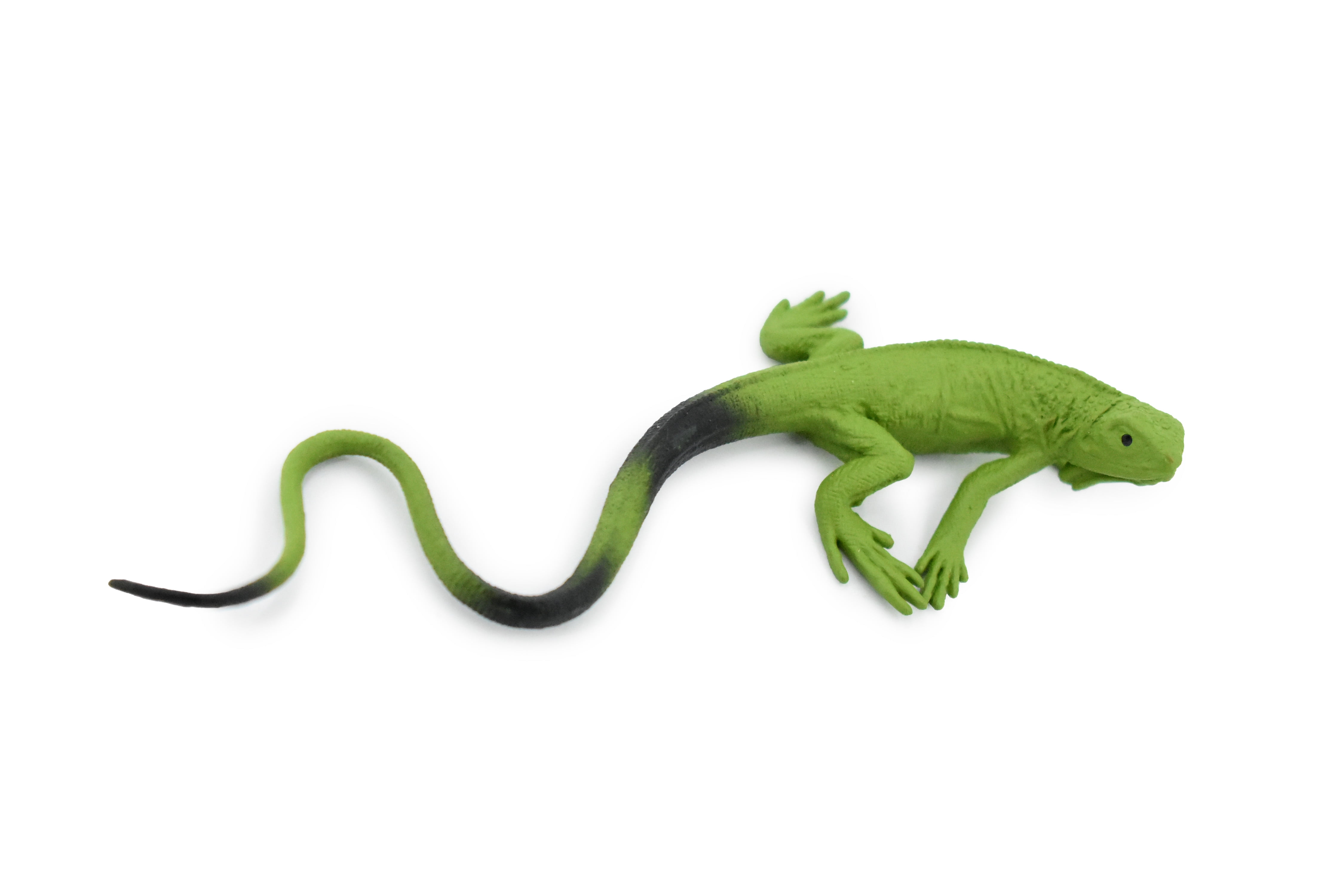 Iguana, Lizard, Rubber Reptile, Toy, Educational, Realistic, Figure ...