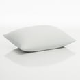 Mainstays Allergy Relief Bed Pillow, Standard Queen, White, Firm ...