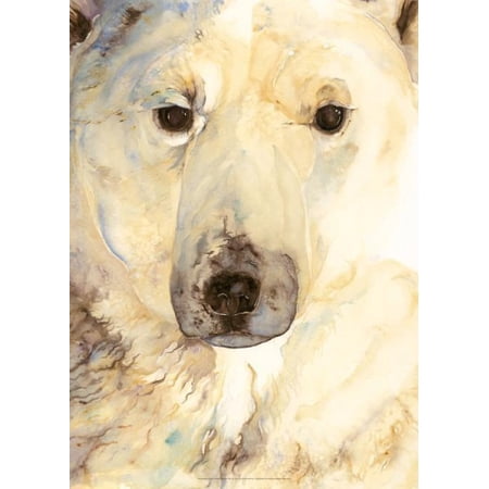 Jackie Morris Ice Bear Poster | Walmart Canada