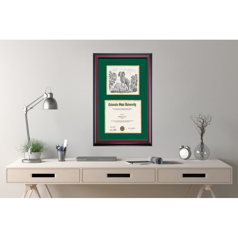 Csu Diploma Matte For Frame
