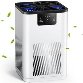 Room air purifier walmart store