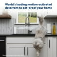 PetSafe SSSCAT Automatic Spray Pet Deterrent, Motion-Activated ...