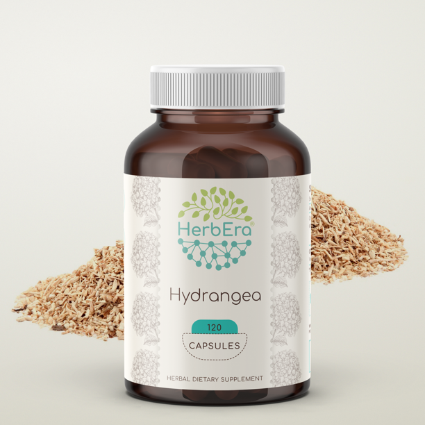 Hydrangea 120 Capsules, 500 mg, Organic Hydrangea (Hydrangea ...