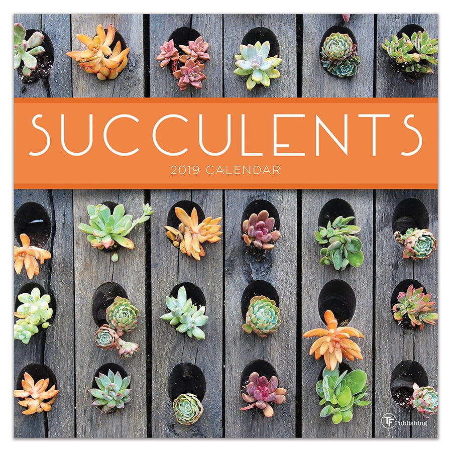 2019 Succulents 12" x 12" January 2019-December 2019 Wall Calendar ...