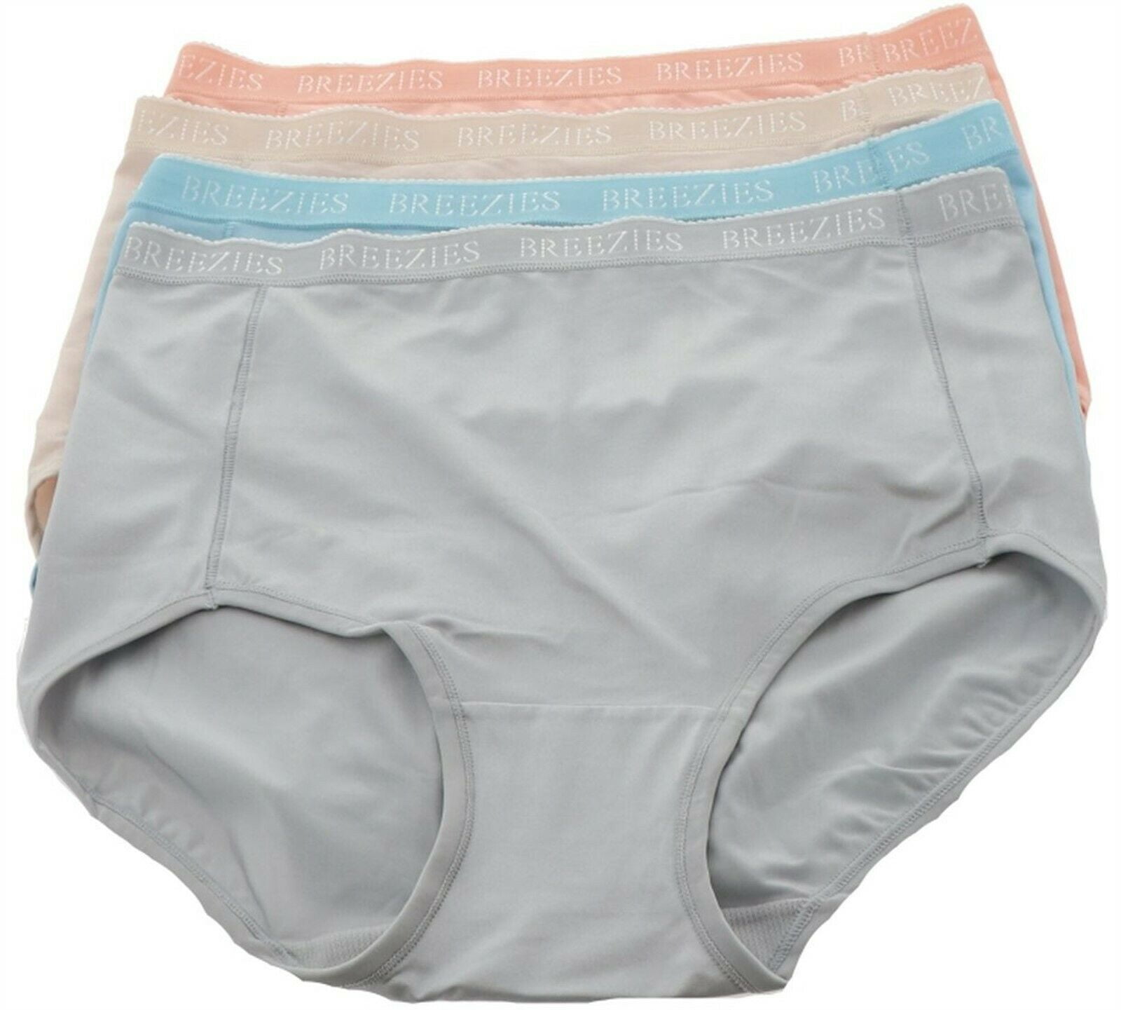 Breezies Breezies Set 4 Nylon Microfiber Brief Panty Womens A287799