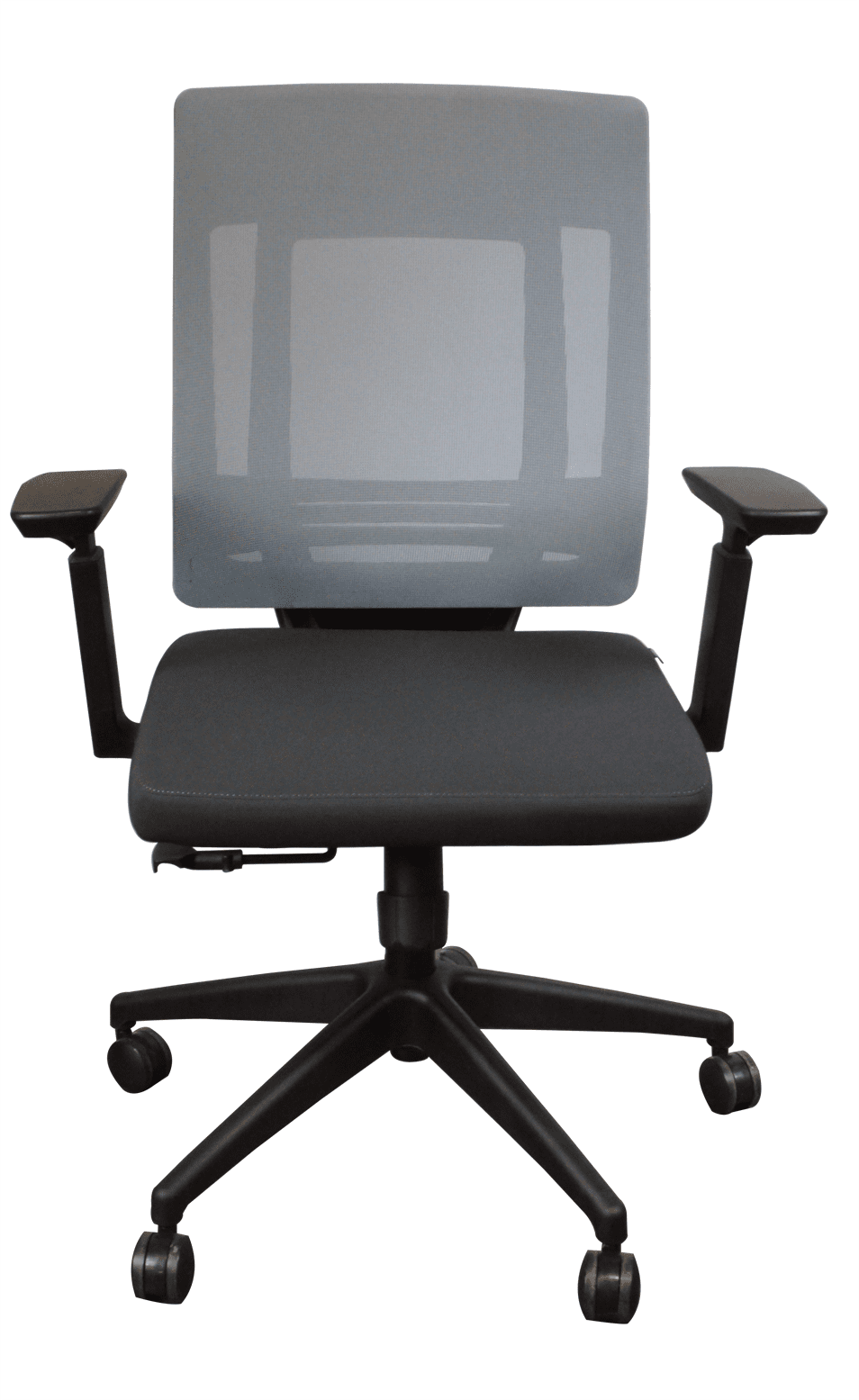 Valdosta Ergonomic Office Chair with Adjustable Height, Arms & Back ...