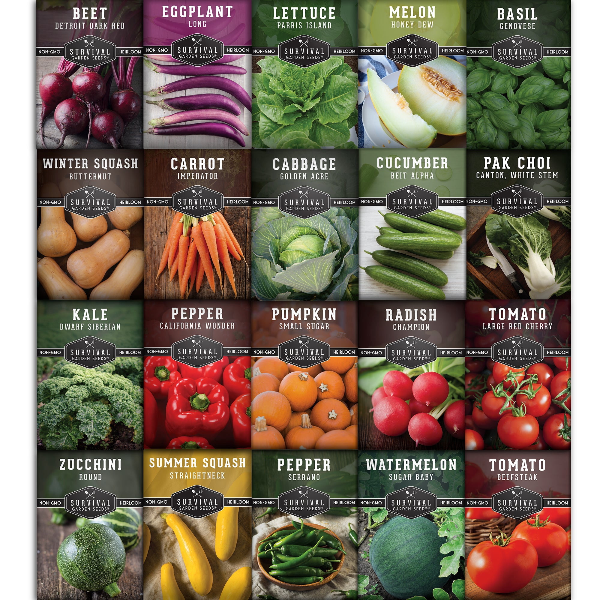 Buy Beginner Gardener Kit Seed Vault 20 Pack - Non GMO Heirloom ...
