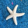 Farfi Simulation Starfish Lifelike Realistic Plastic Cute Artificial ...