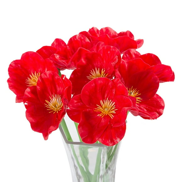 Poppy Plant | Walmart Canada