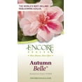 Encore Azalea Autumn Belle (3 Gallon) Pink Flowering Shrub - Full Sun ...